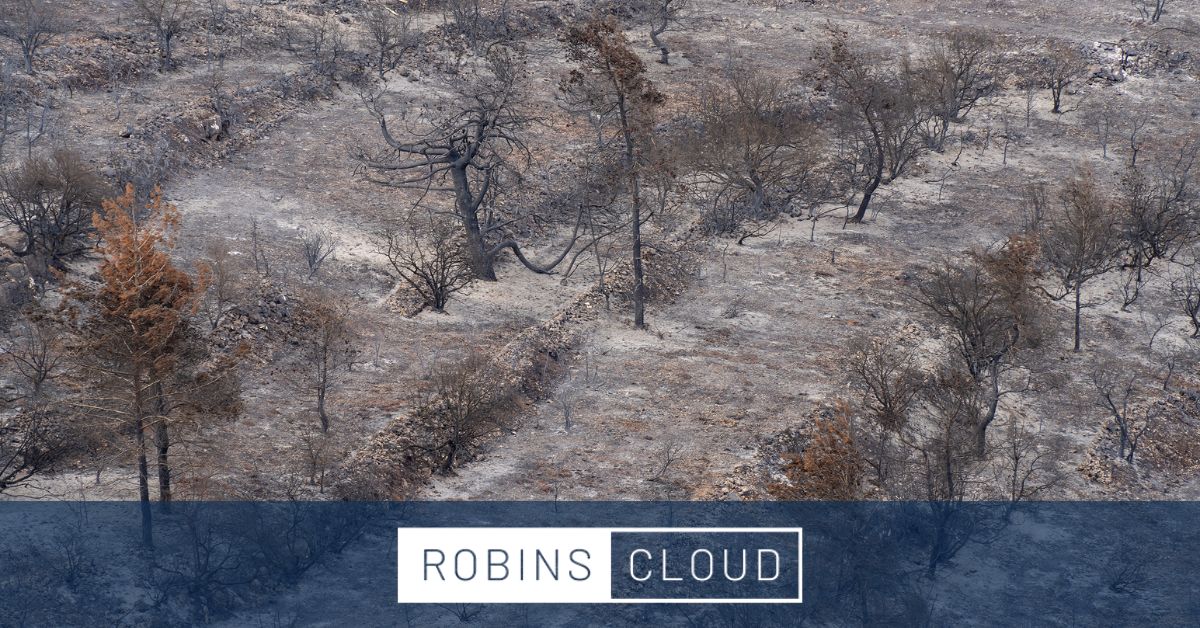 Watch Out for Wildfires This Summer